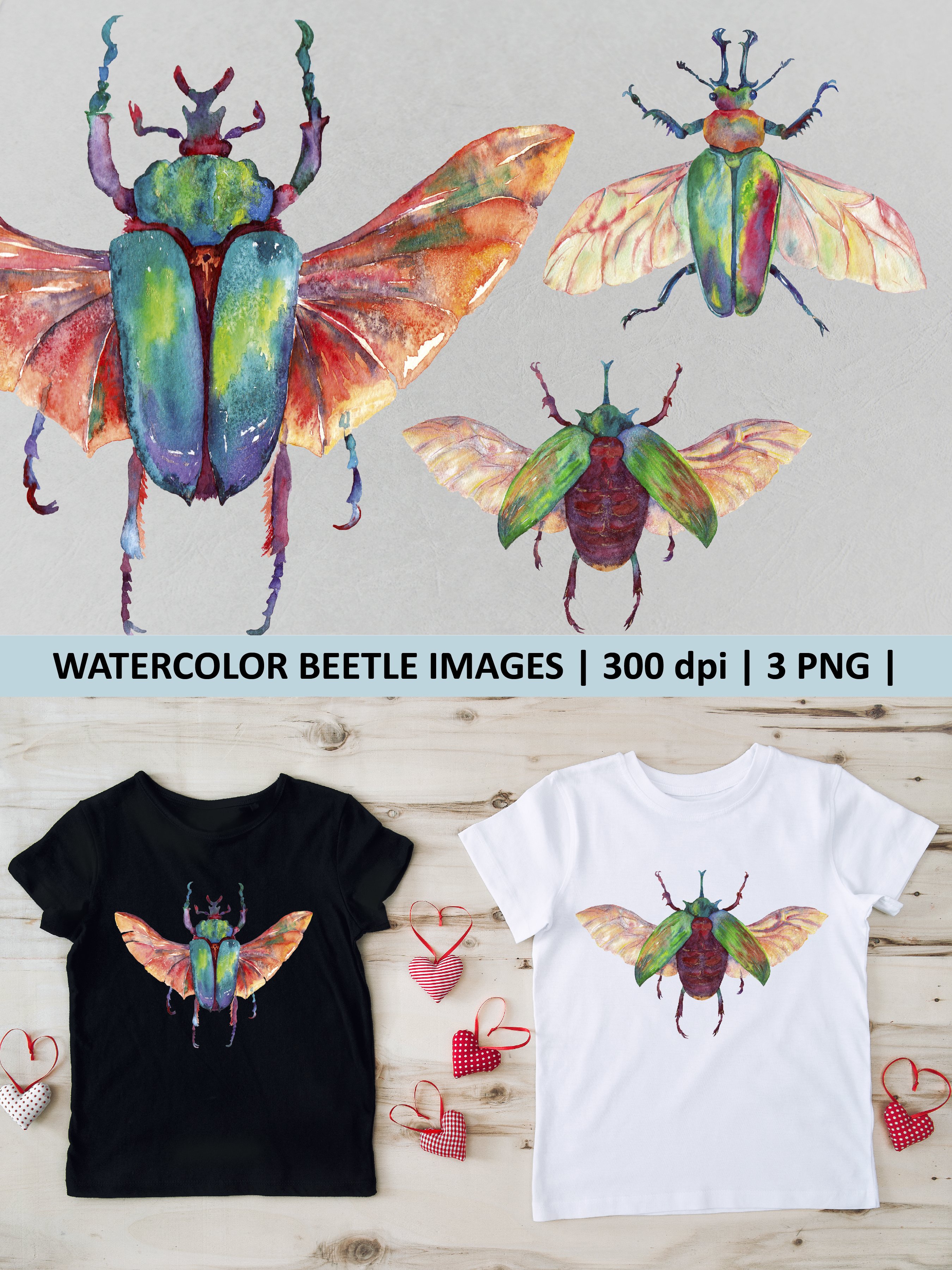 Watercolor Beetles clipart. 3 images, PNG files.