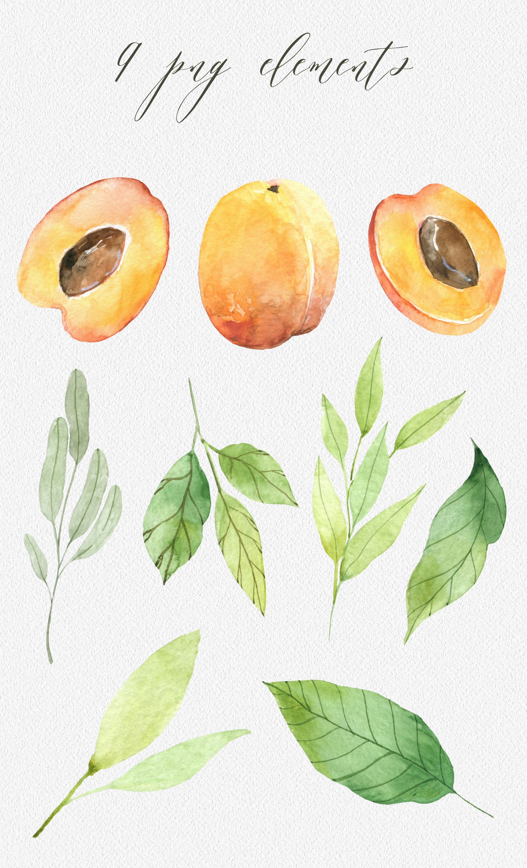 Peach clipart Watercolor peach Watercolor Fruits Clipart png