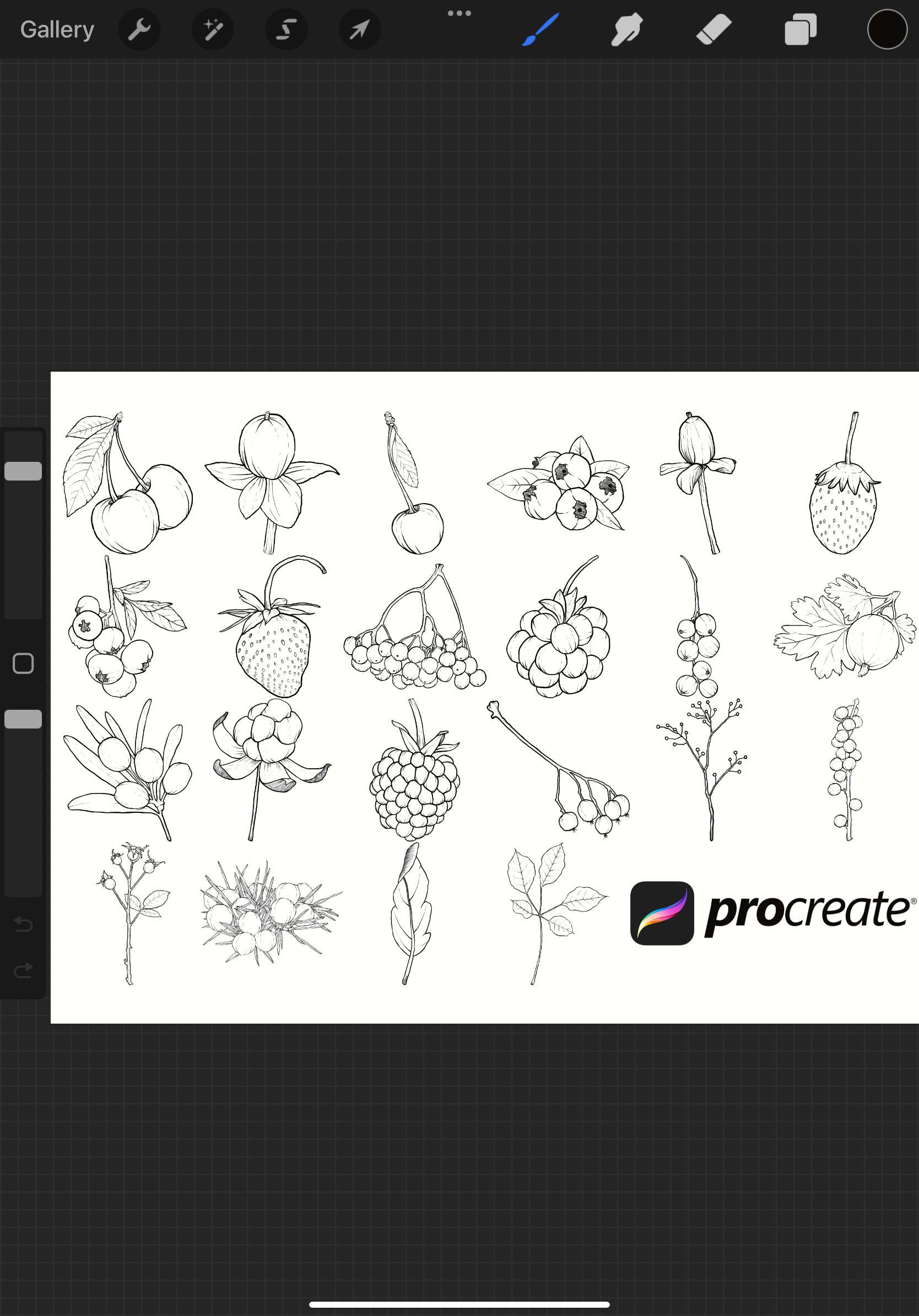 Berries Set 1 Procreate Brush Stamps, 22 Berry Stamps