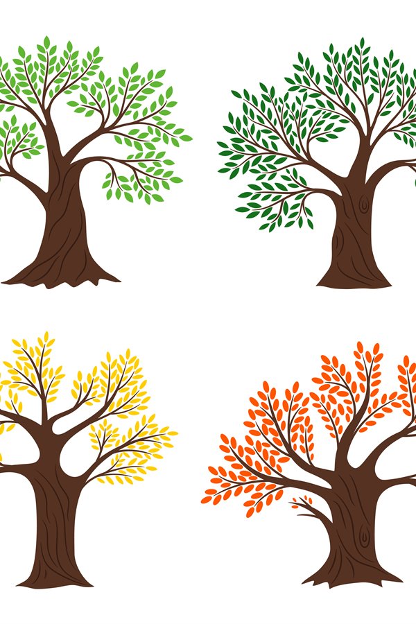 Four seasons trees. Vector seasonal tree vector set illustra