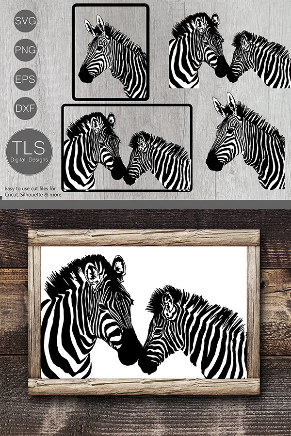 Zebra SVG (1218793)