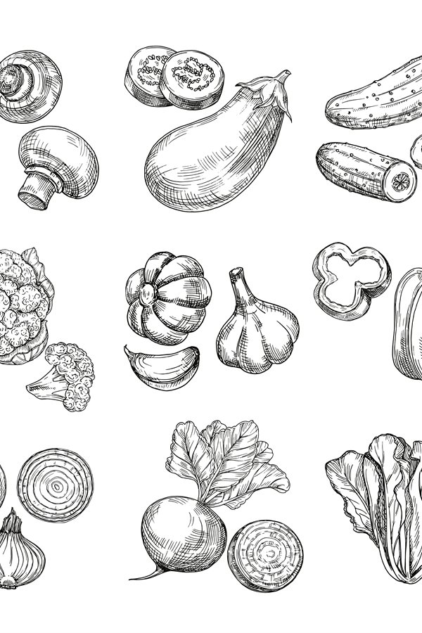 Hand drawn vegetables. Garden cauliflower, pepper and eggpla