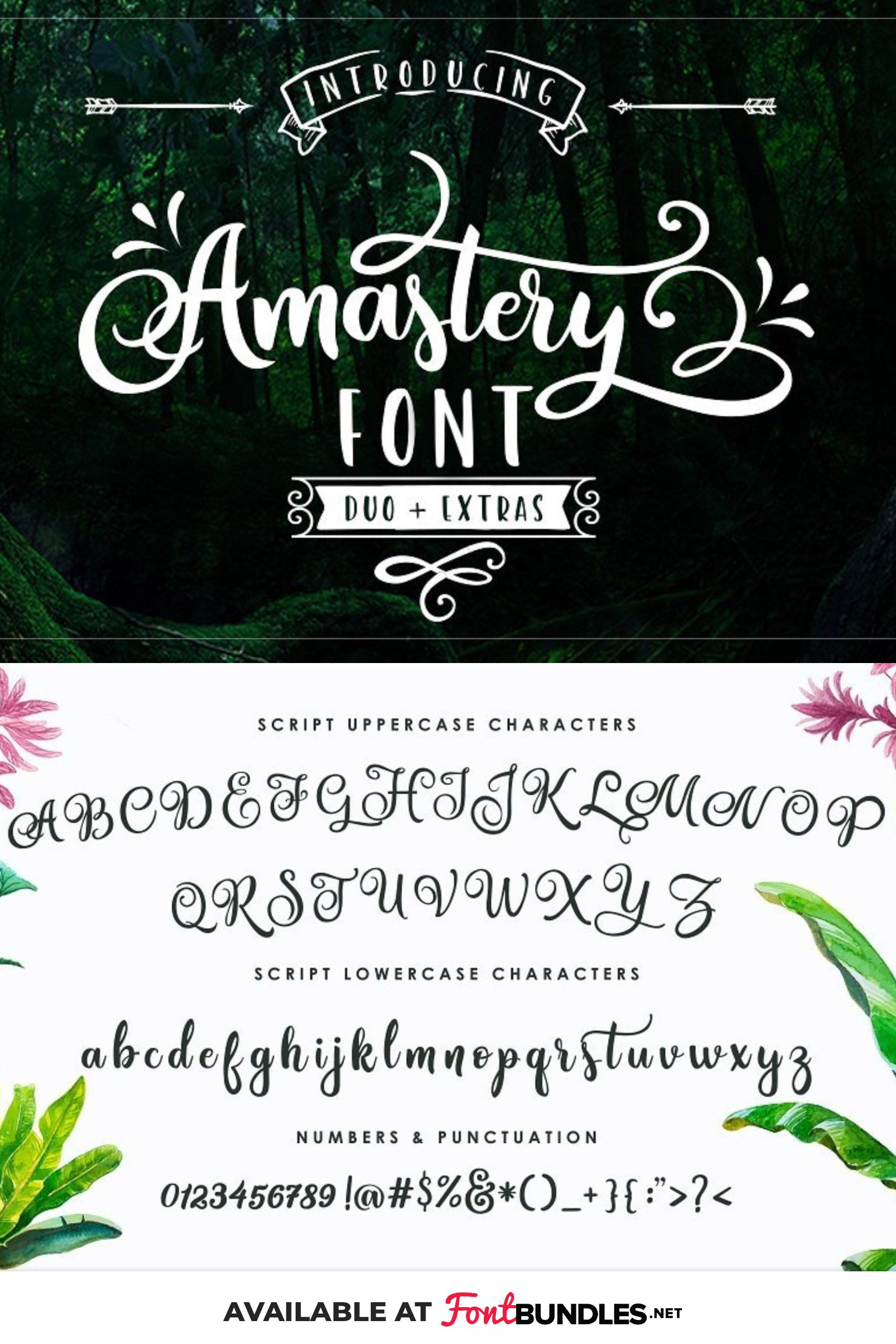 Amastery Font Duo + Extras (24277)