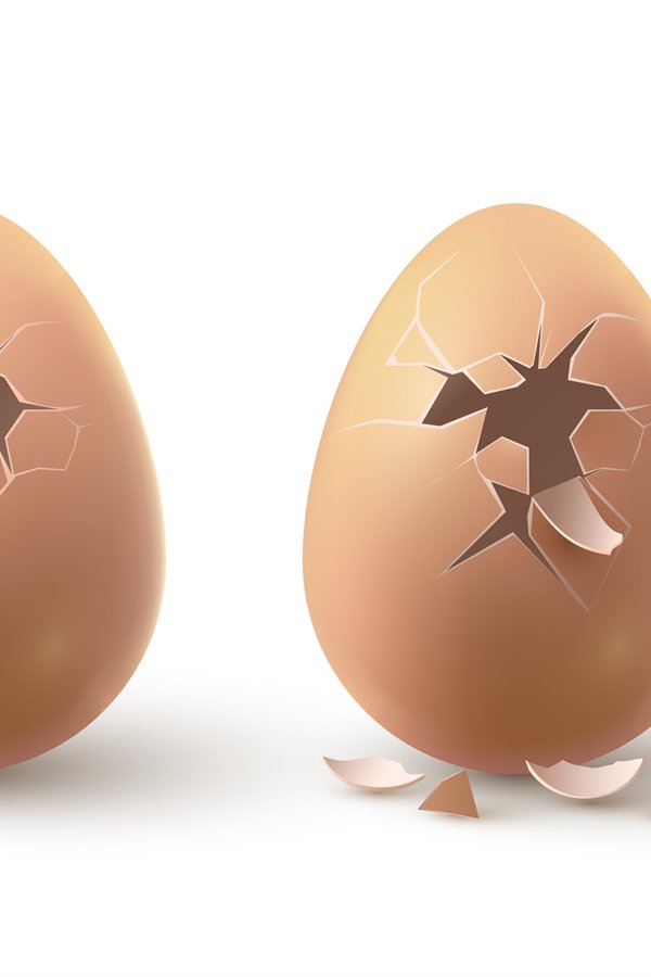 Realistic farm chicken egg broken, hatching chick stages. Cr