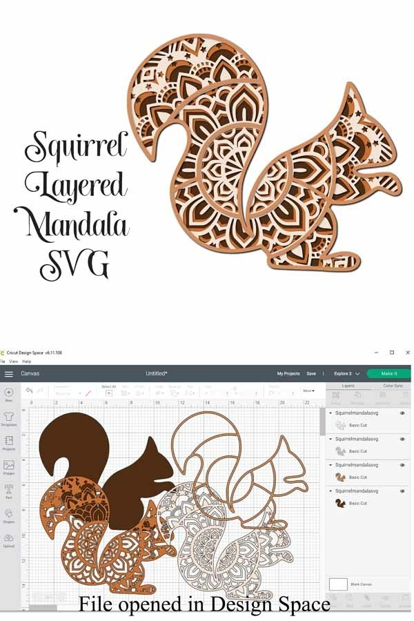 Squirrel Mandala SVG