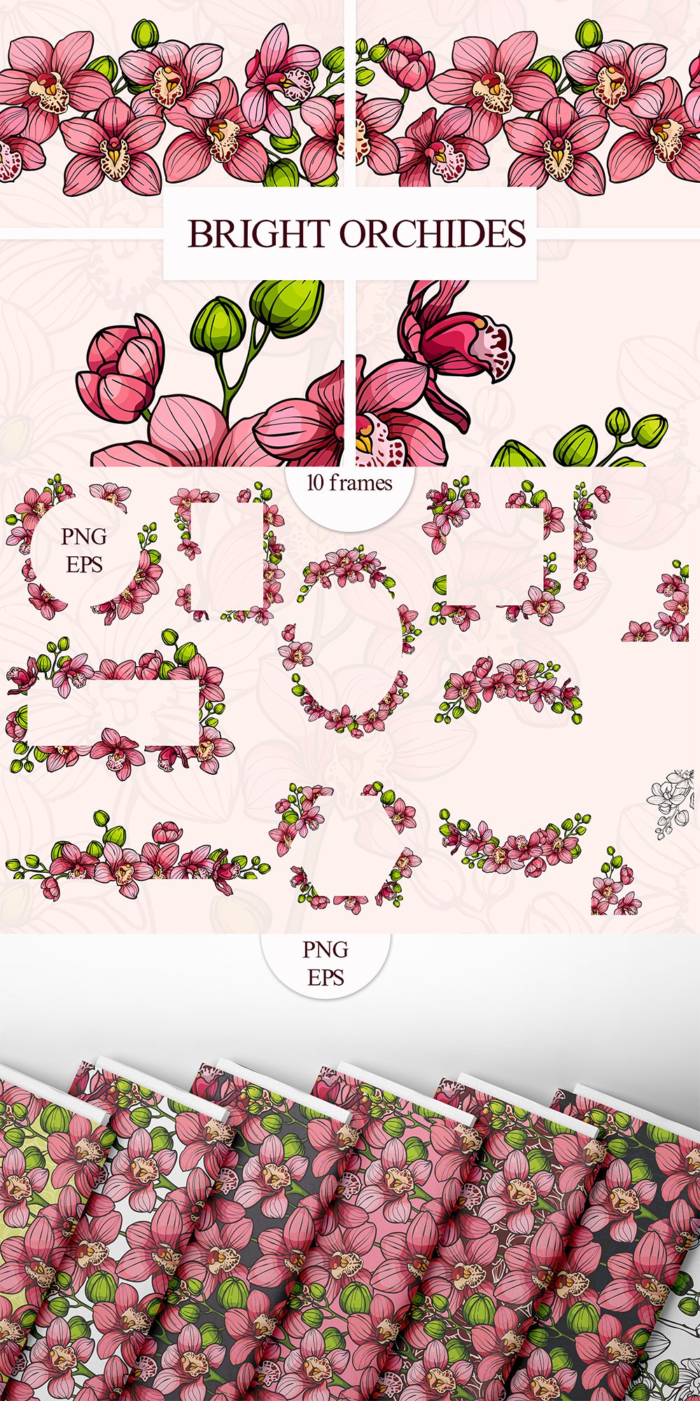 Bright orchids. Vector set