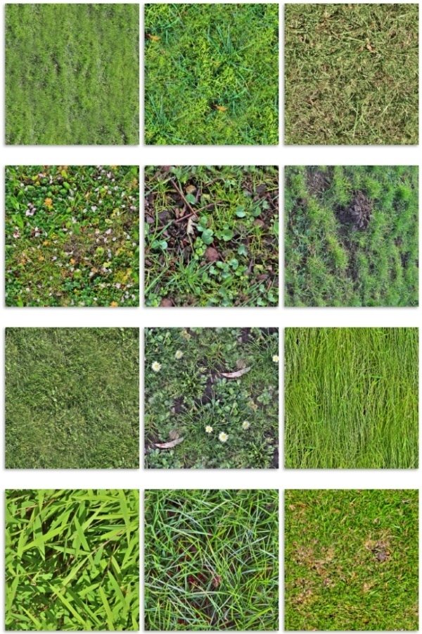 12 seamless textures of grass in high resolution - (985824)
