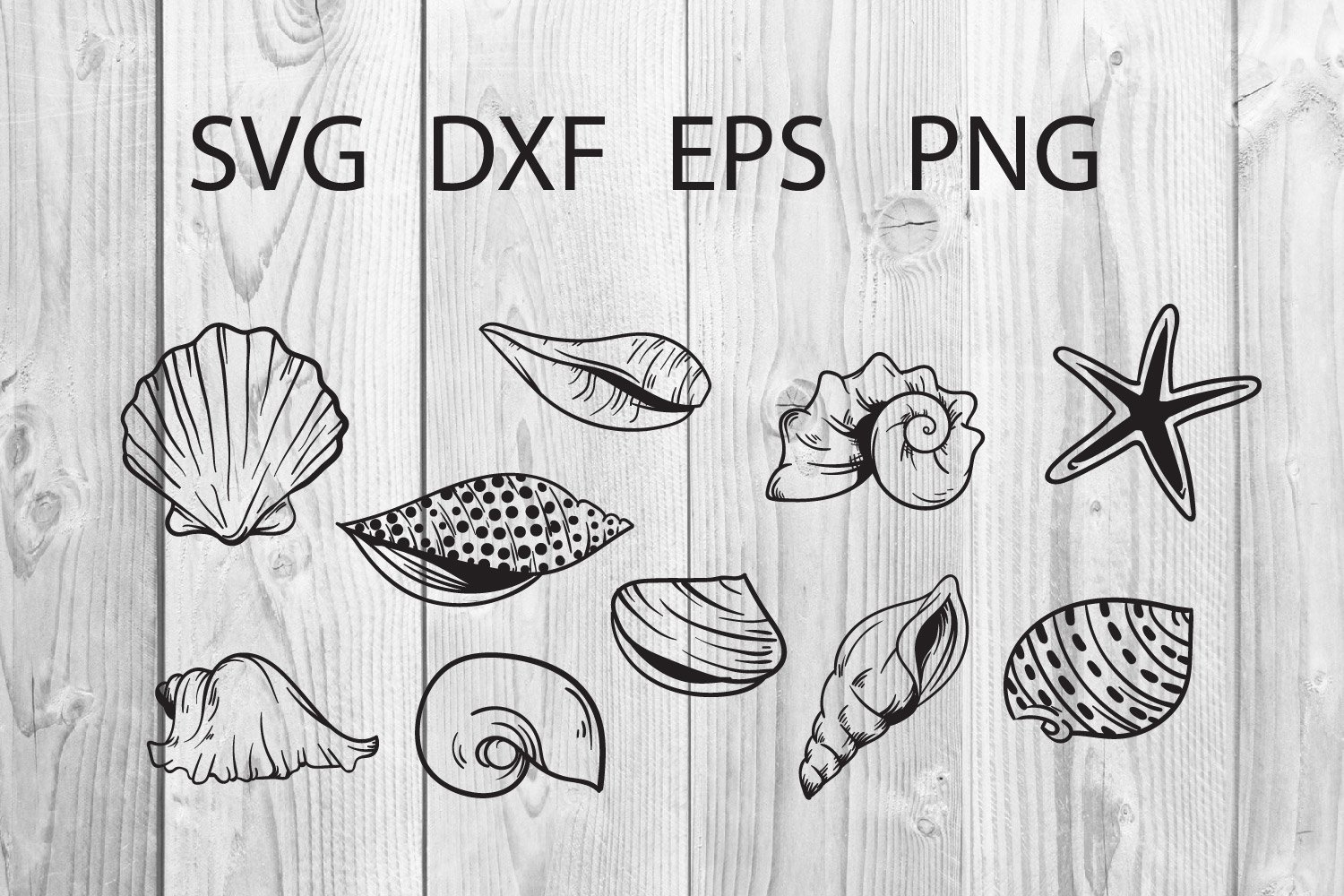 Seashell hand drawn eps, dxf, png, svg Cut File Svg