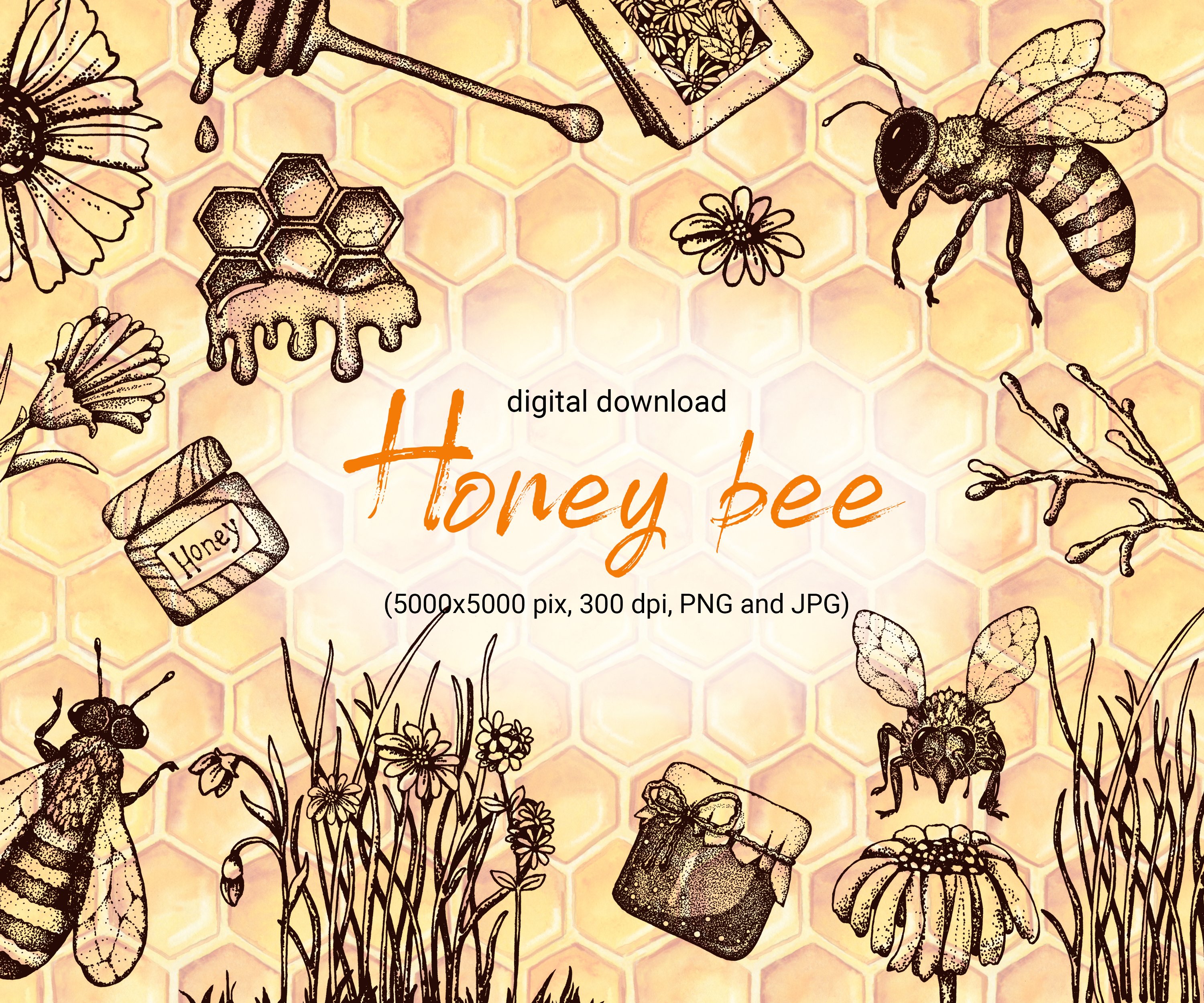 Honey bee, wasp, bumblebee. Graphics digital paper honeycomb