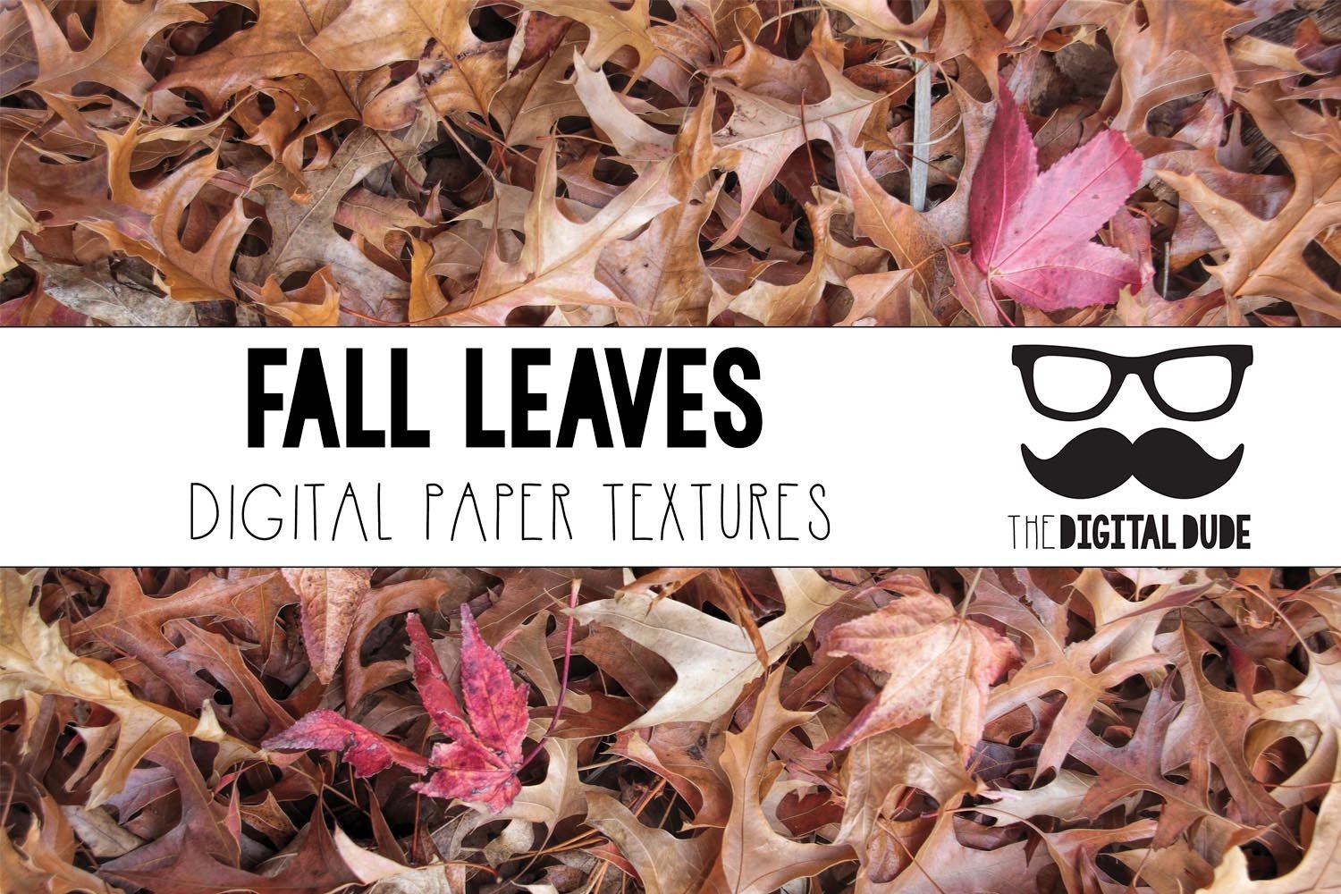 Fall Leaves - Forest Floor - Digital Paper Set - 12 Images