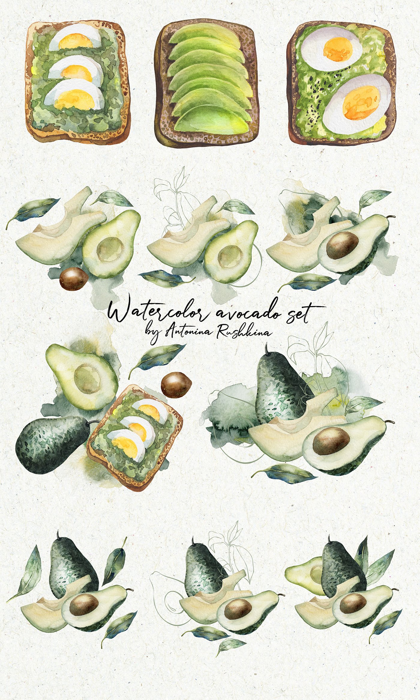 Avocado Watercolor Set