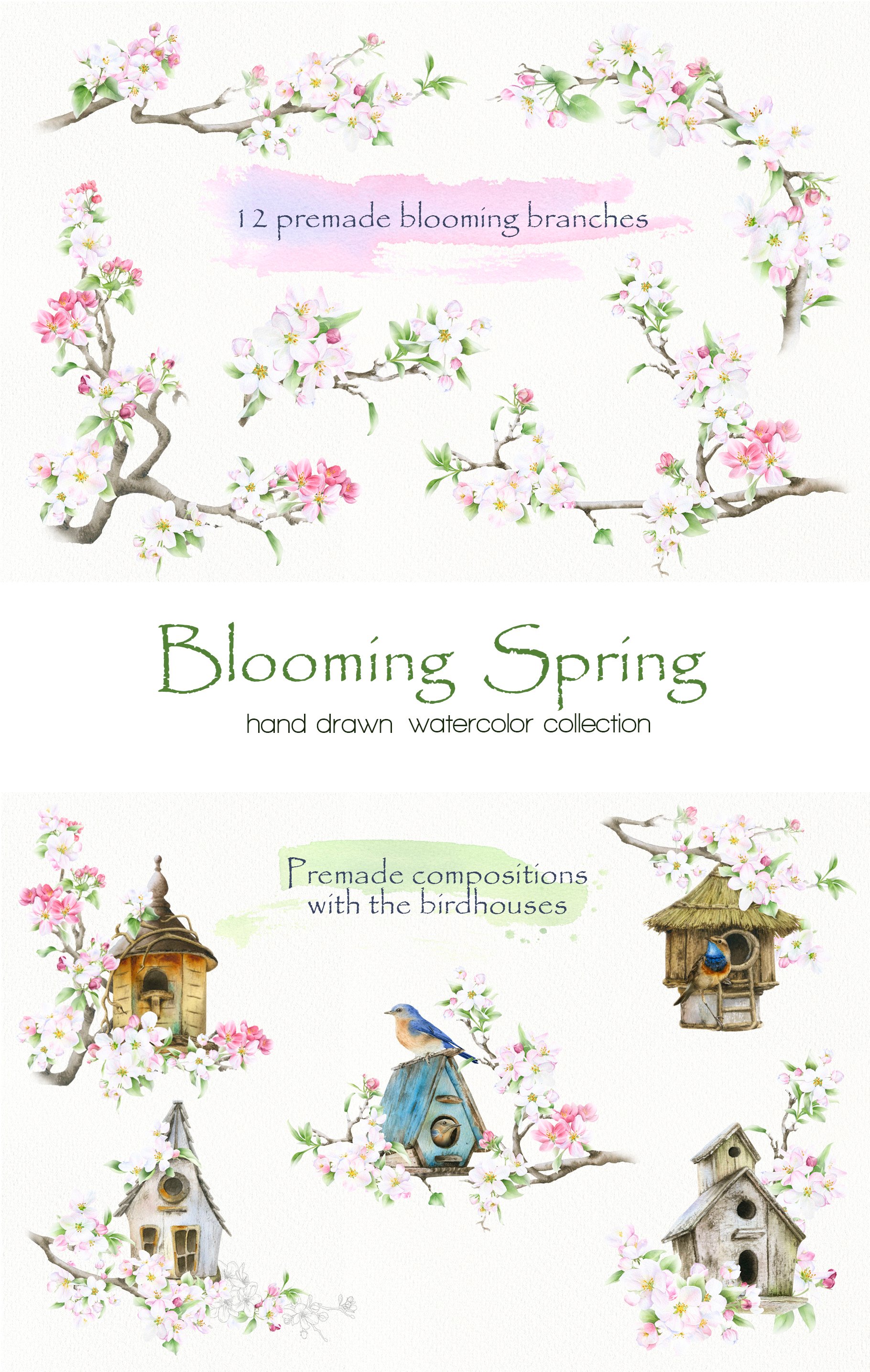 Blooming spring watercolor clipart. Apple blossom. Birds