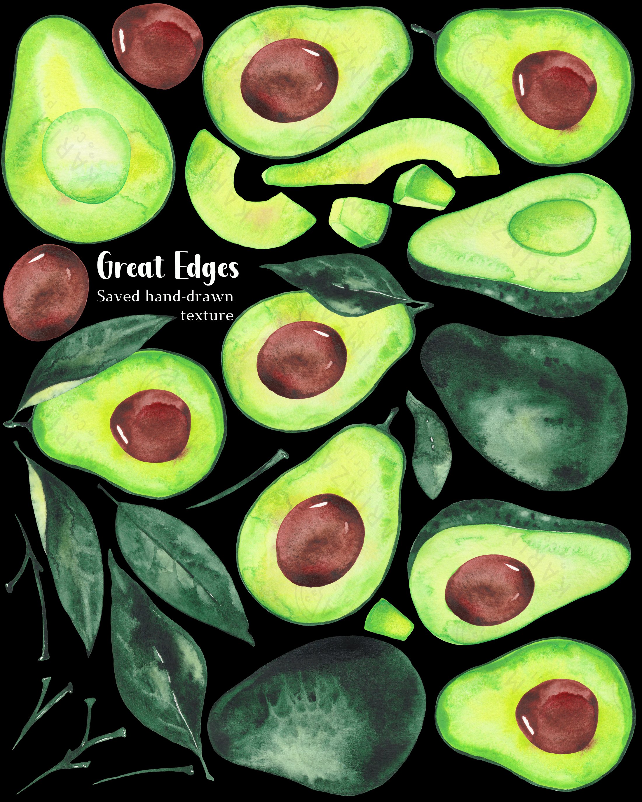 Watercolor Avocado clipart, Digital Download