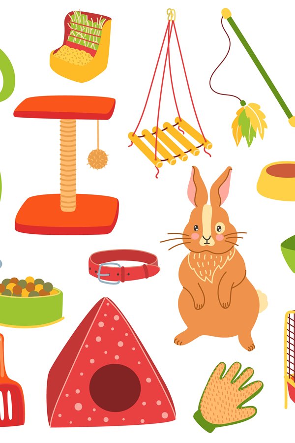 Pets care tools. Different domestic animals caring accessori