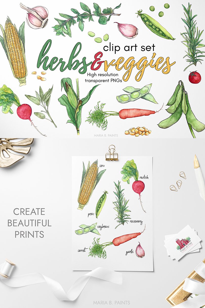 Farm Vegetables & Herbs Watercolor Clipart, Food, Garden