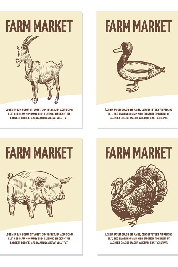 Farm animals labels. Tags for shops of organic food, hand dr