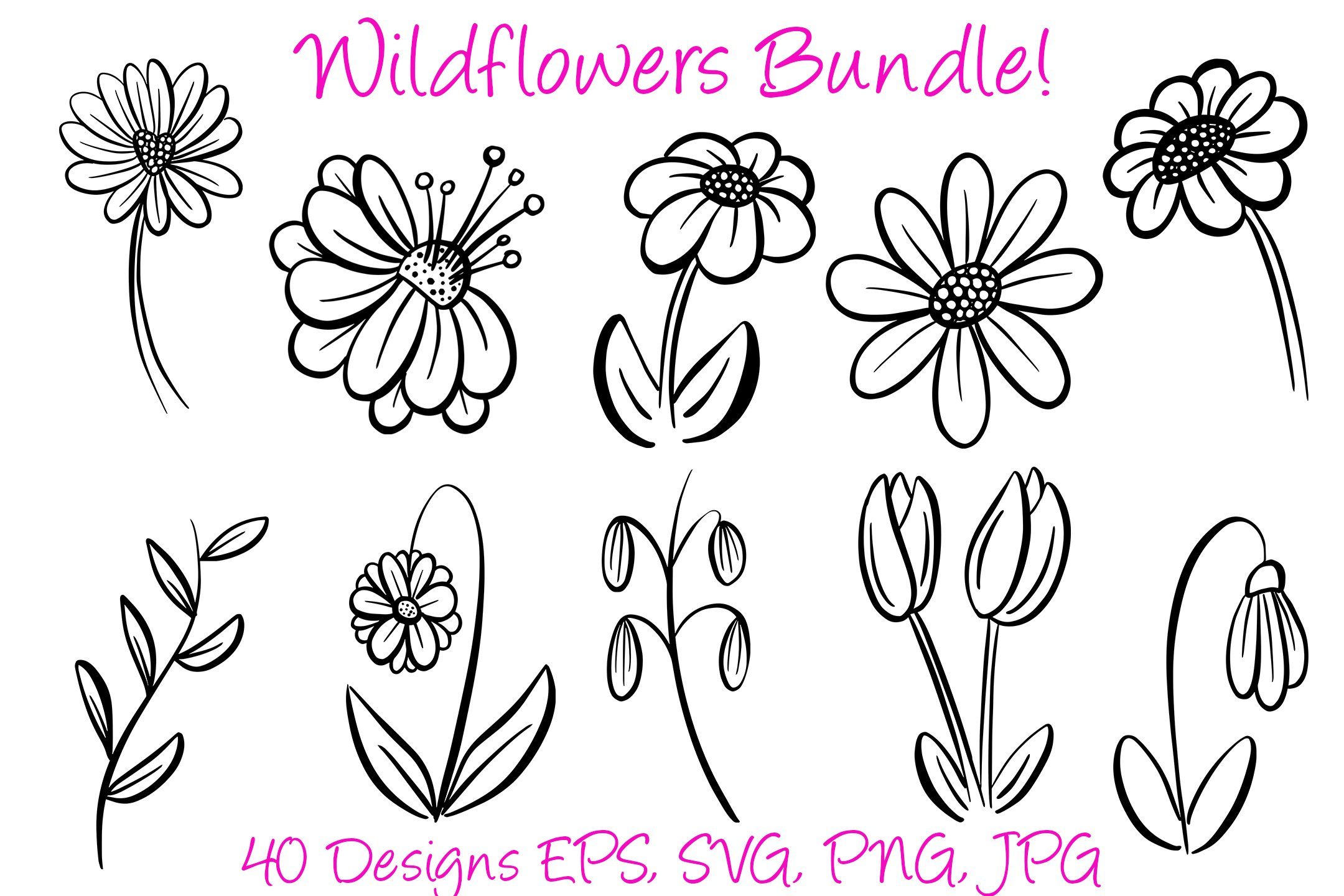 Mega Bundle Outline Wildflower Illustration Collection