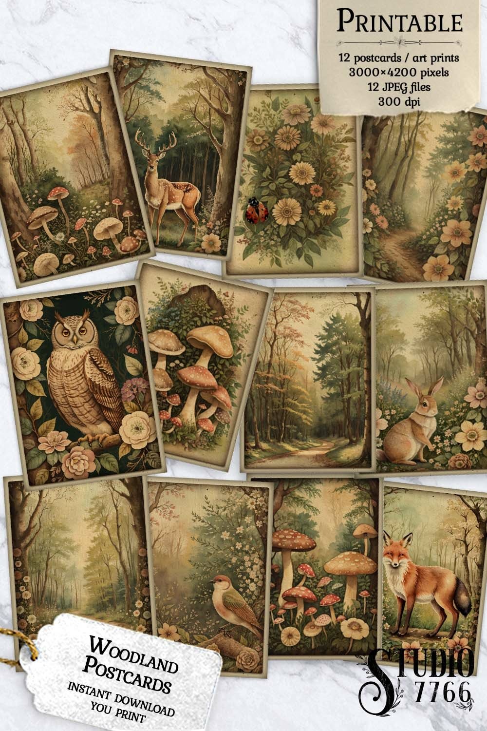 Woodland Postcards