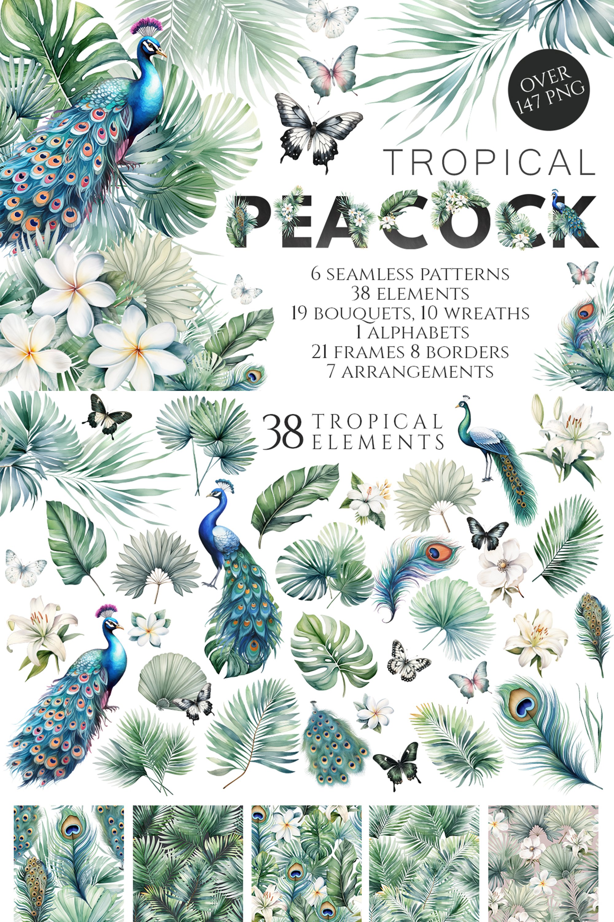 Tropical Floral and Peacocks Clipart. PNG