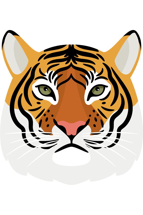 Tiger head isolated on white