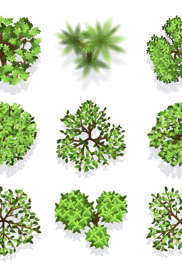 Trees top view vector set for landscape design and map