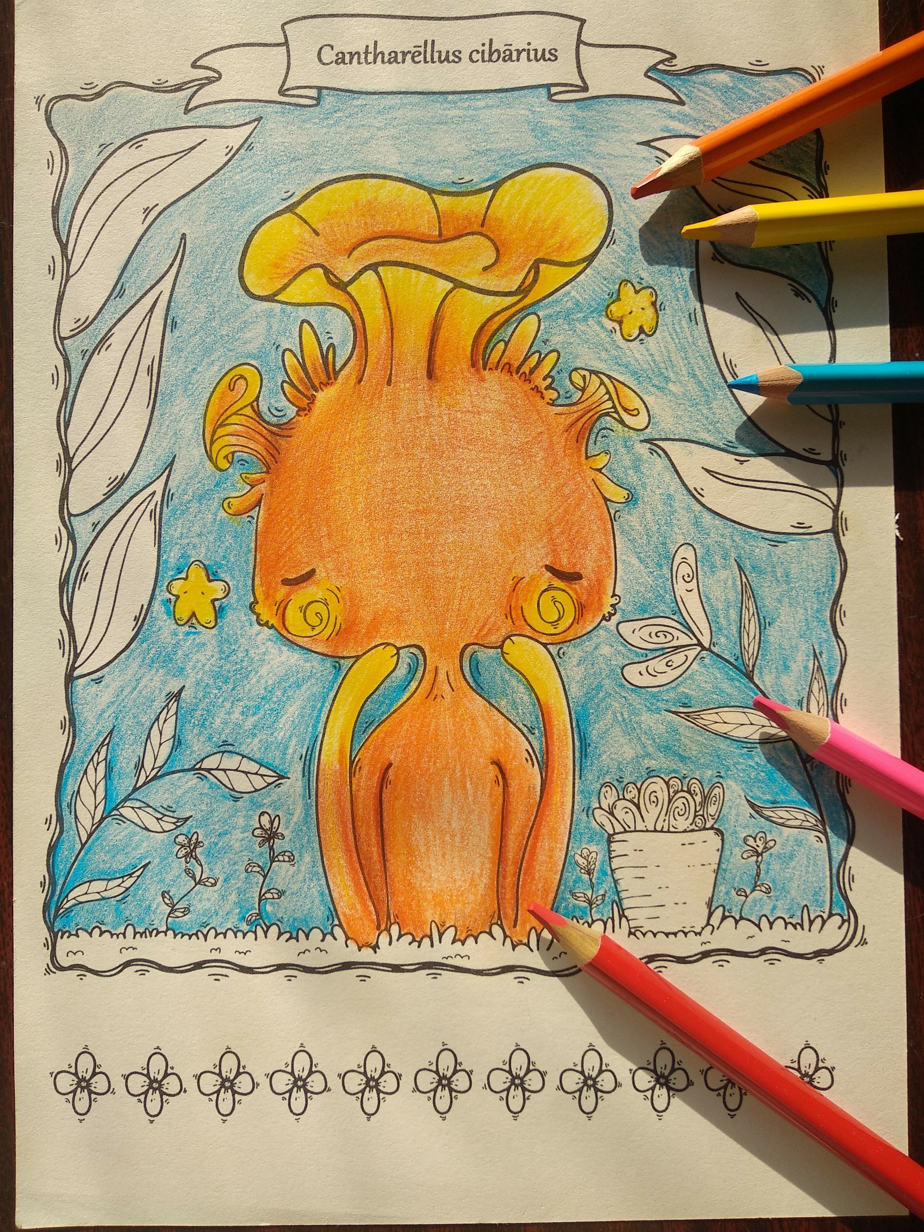Coloring Anti-stress Mushroom Coloring Digital Art Fantasy