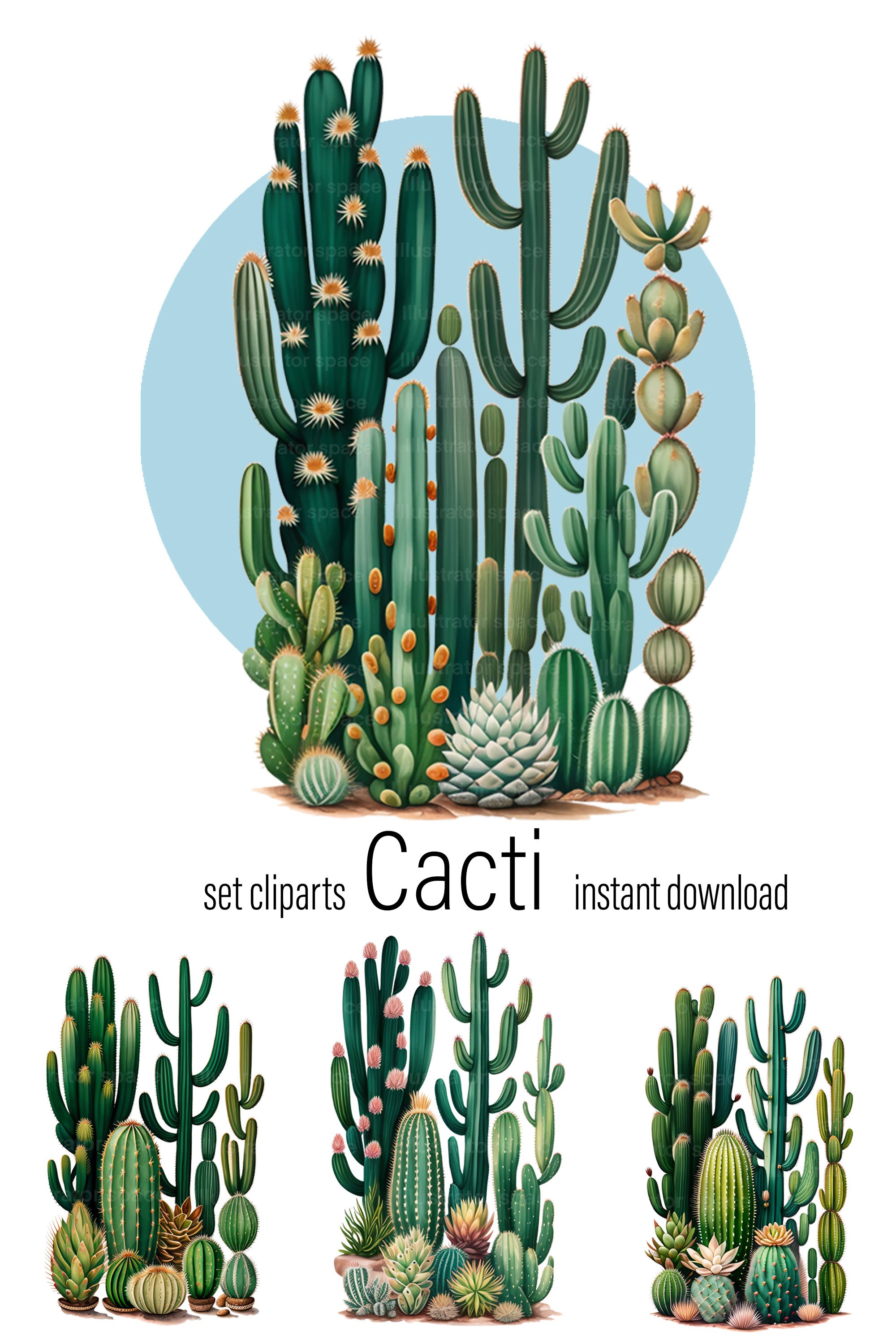 Cactus clipart, Cacti illustration, Boho clipart