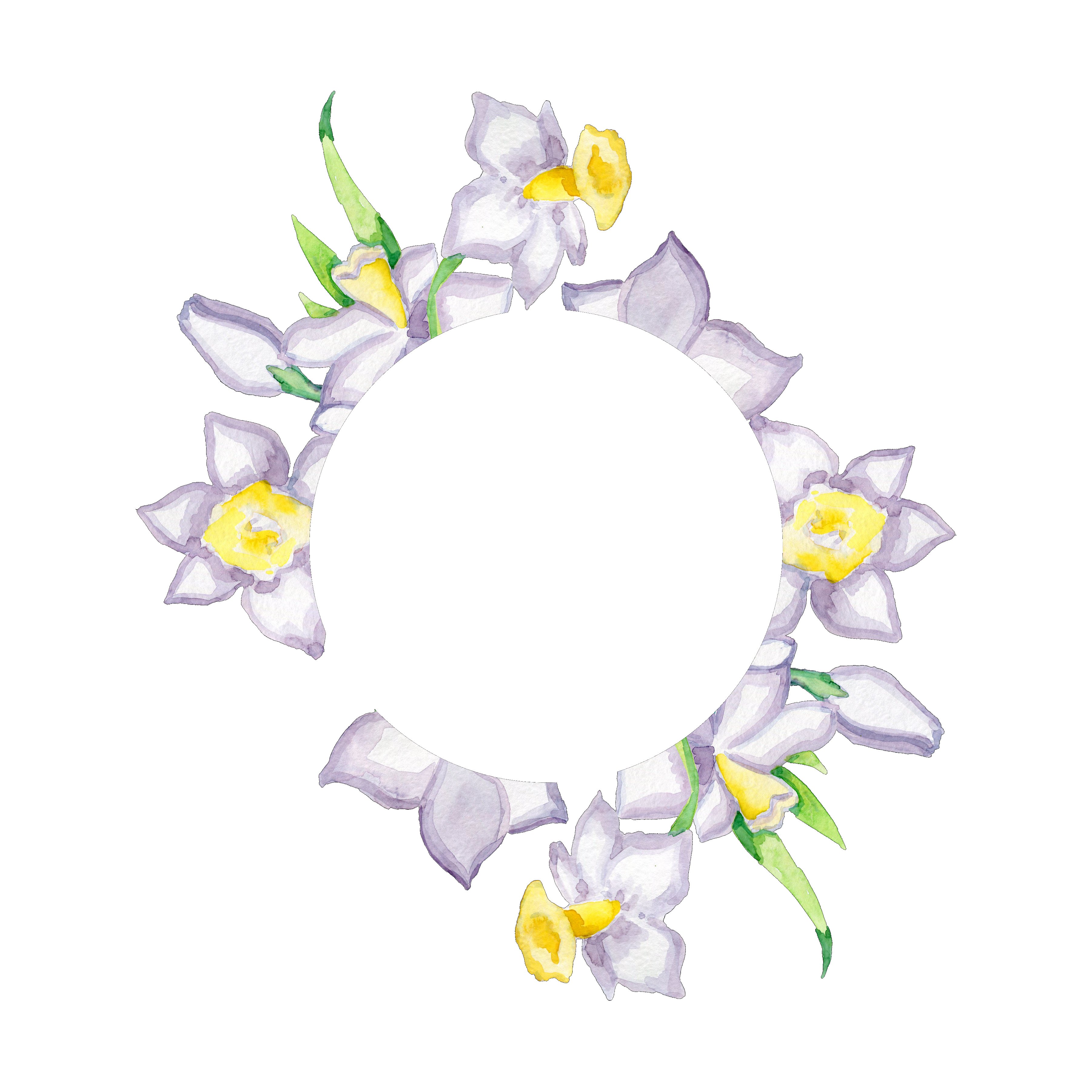 Daffodil Flower Frames