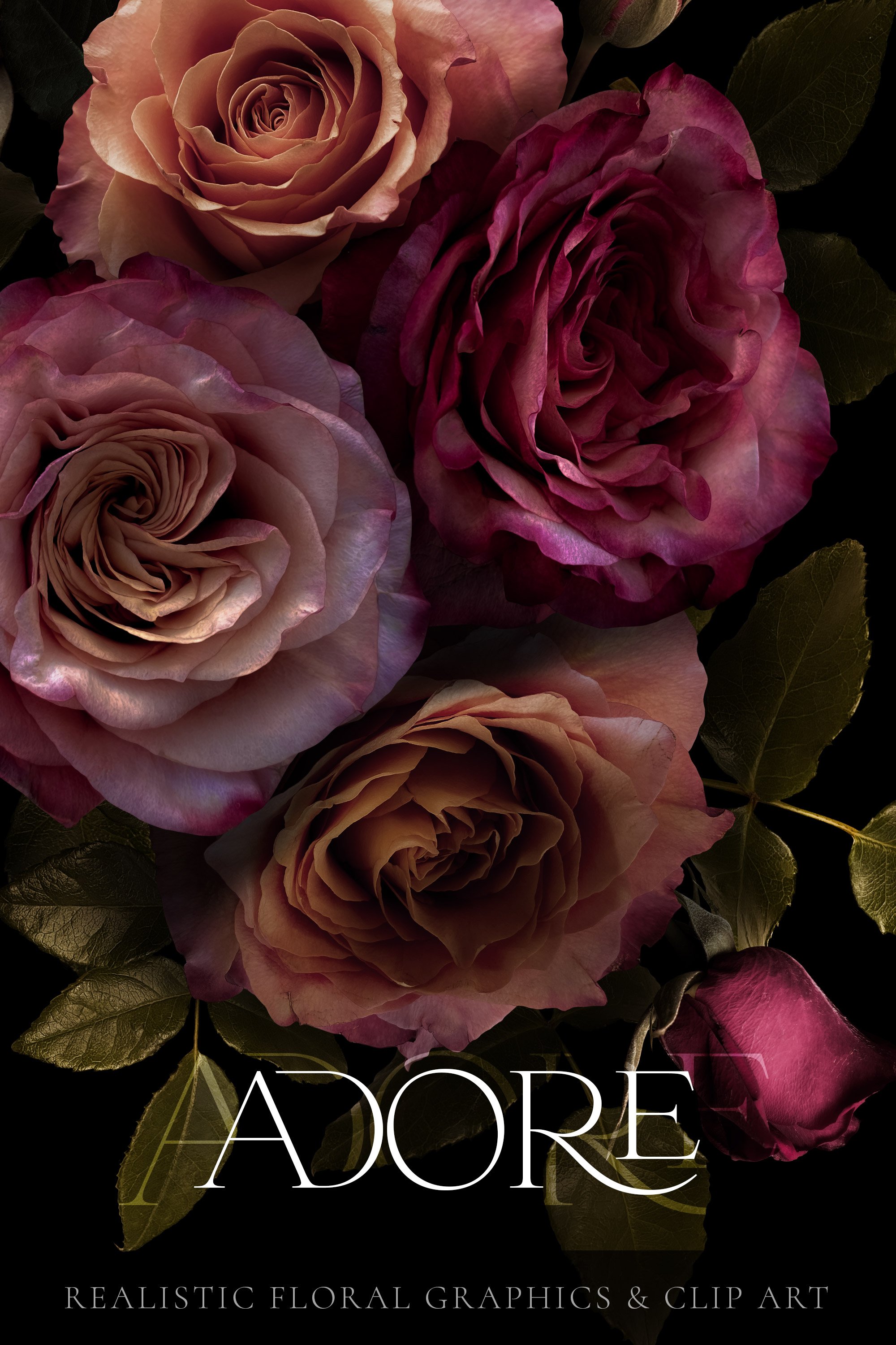 Adore Realistic Romantic Moody Roses Graphics & Clip Art