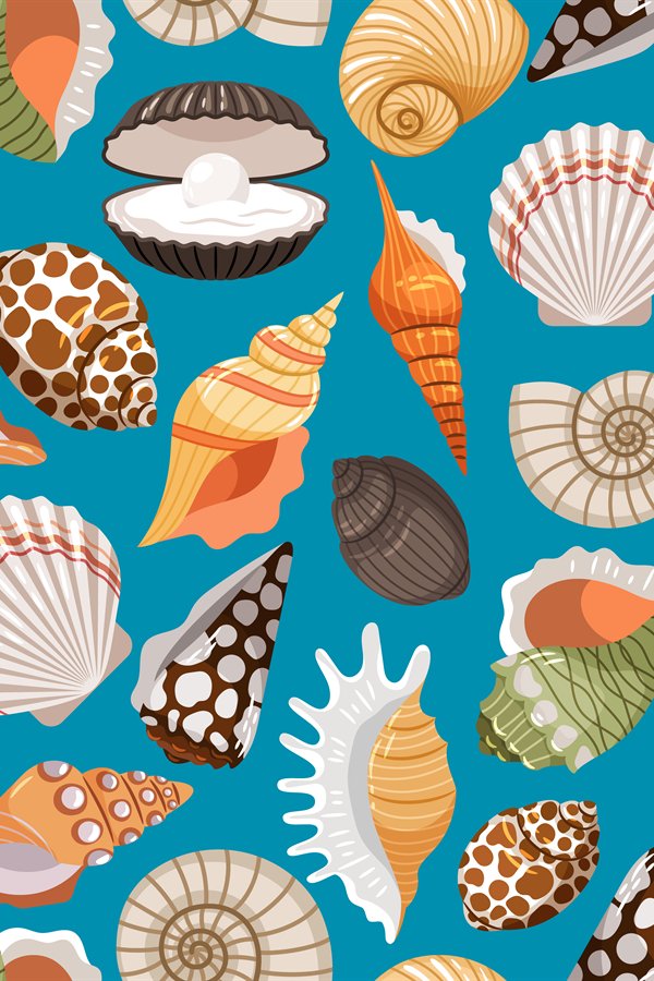 Travel background with sea shells