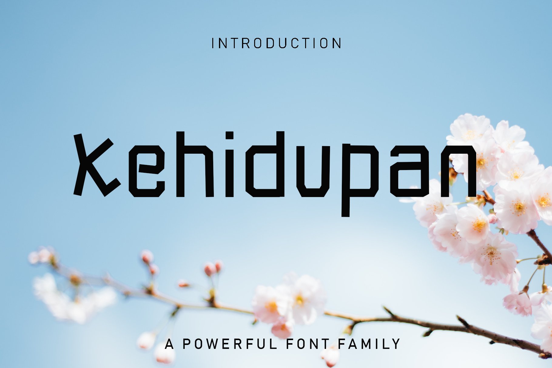 Kehidupan