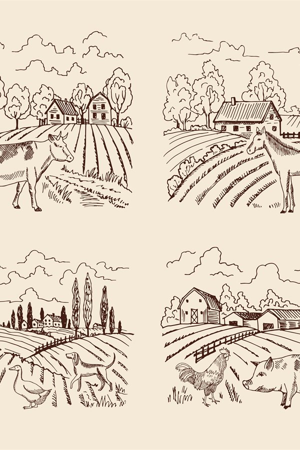 Vector village and big field. Landscape with farming and ani