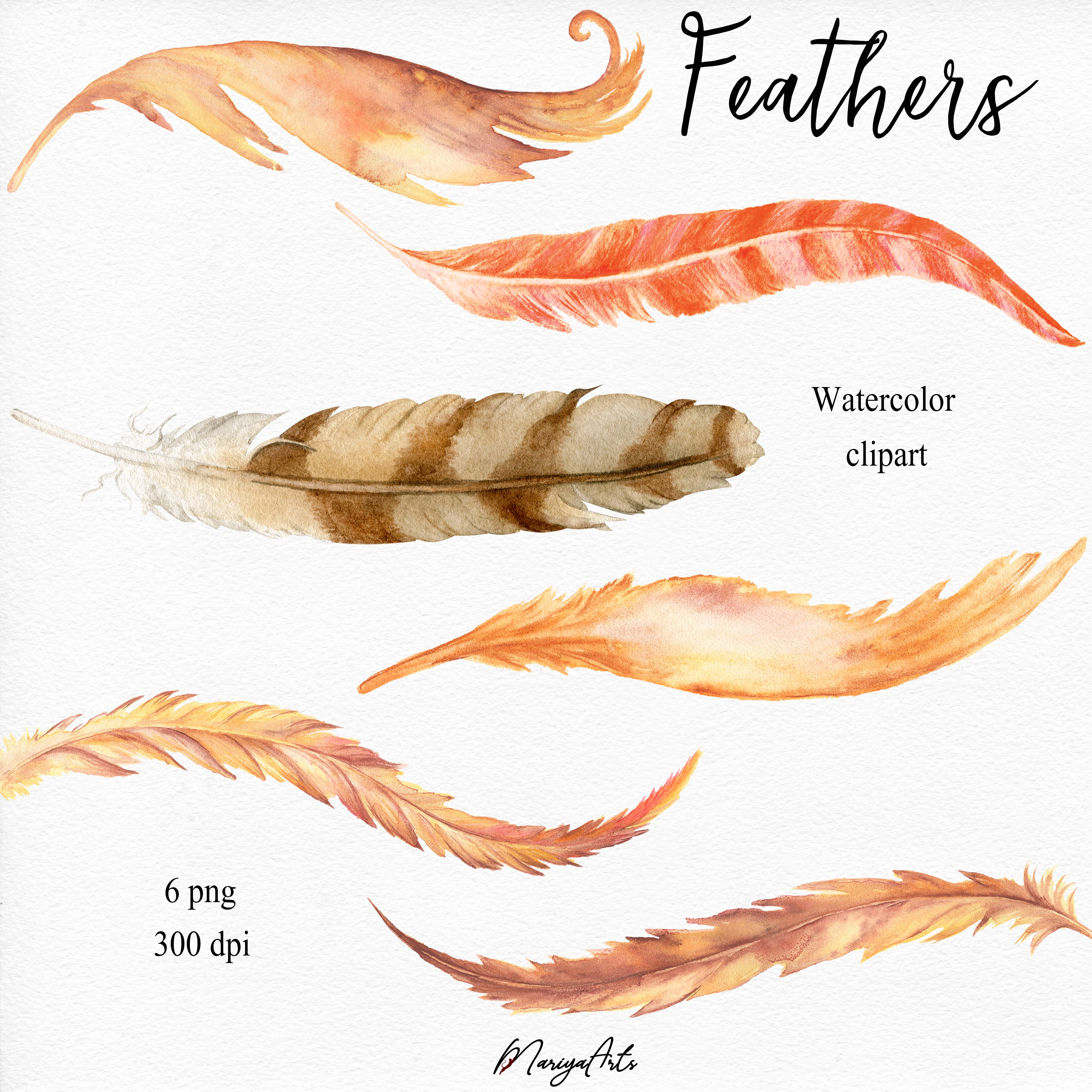 Feather Set Watercolor Clipart PNG Native American Tribal