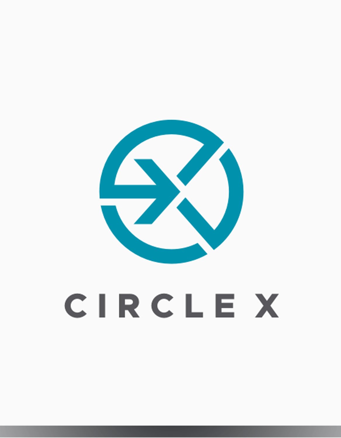 Circle Letter X vector logo design template (3173347)