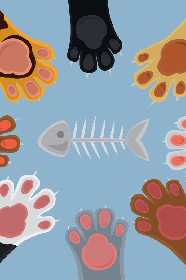 Cats paw set cartoon