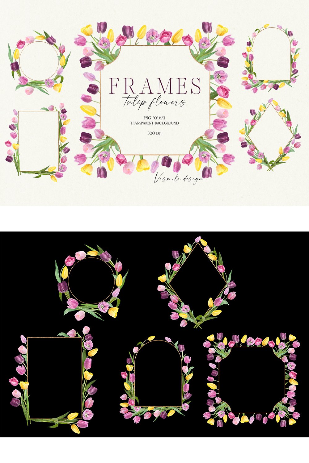 Tulip flowers frames PNG