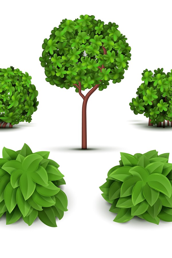 Garden bush with green leaves vector set