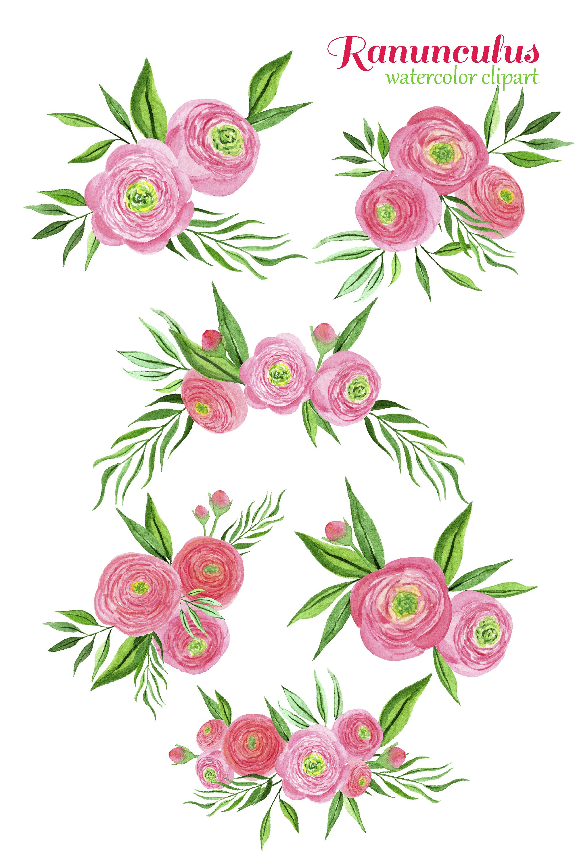 Watercolor pink ranunculus bouquets (795627)