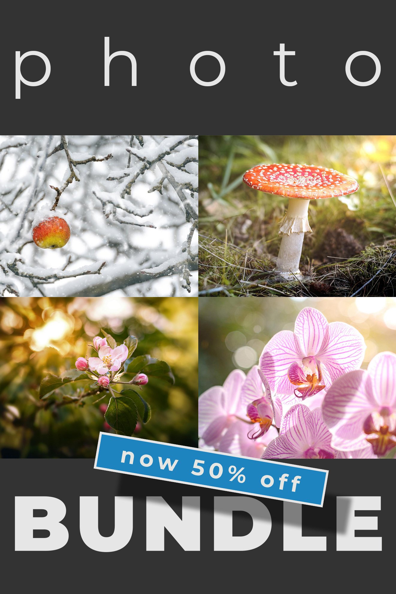 32 Photos 4 Seasons Complete Bundle