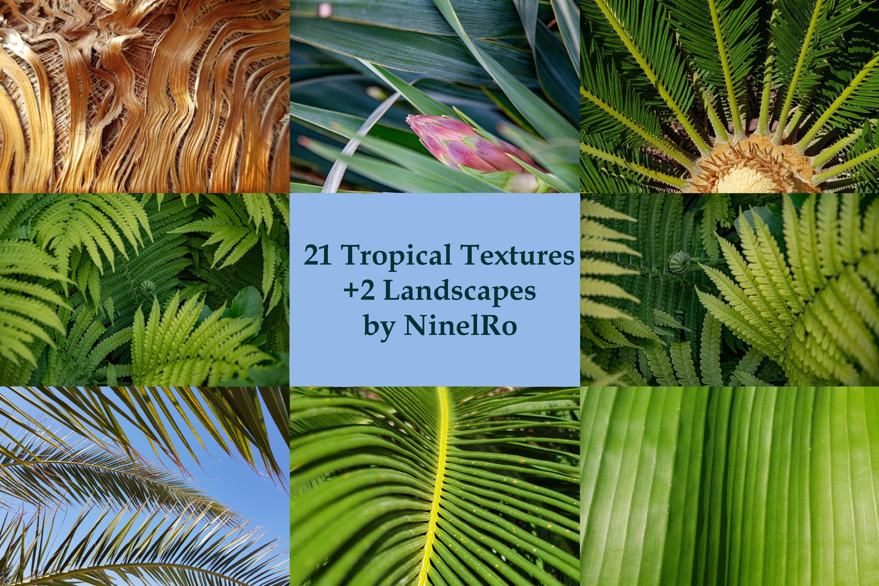 Tropical photo texture backgrounds