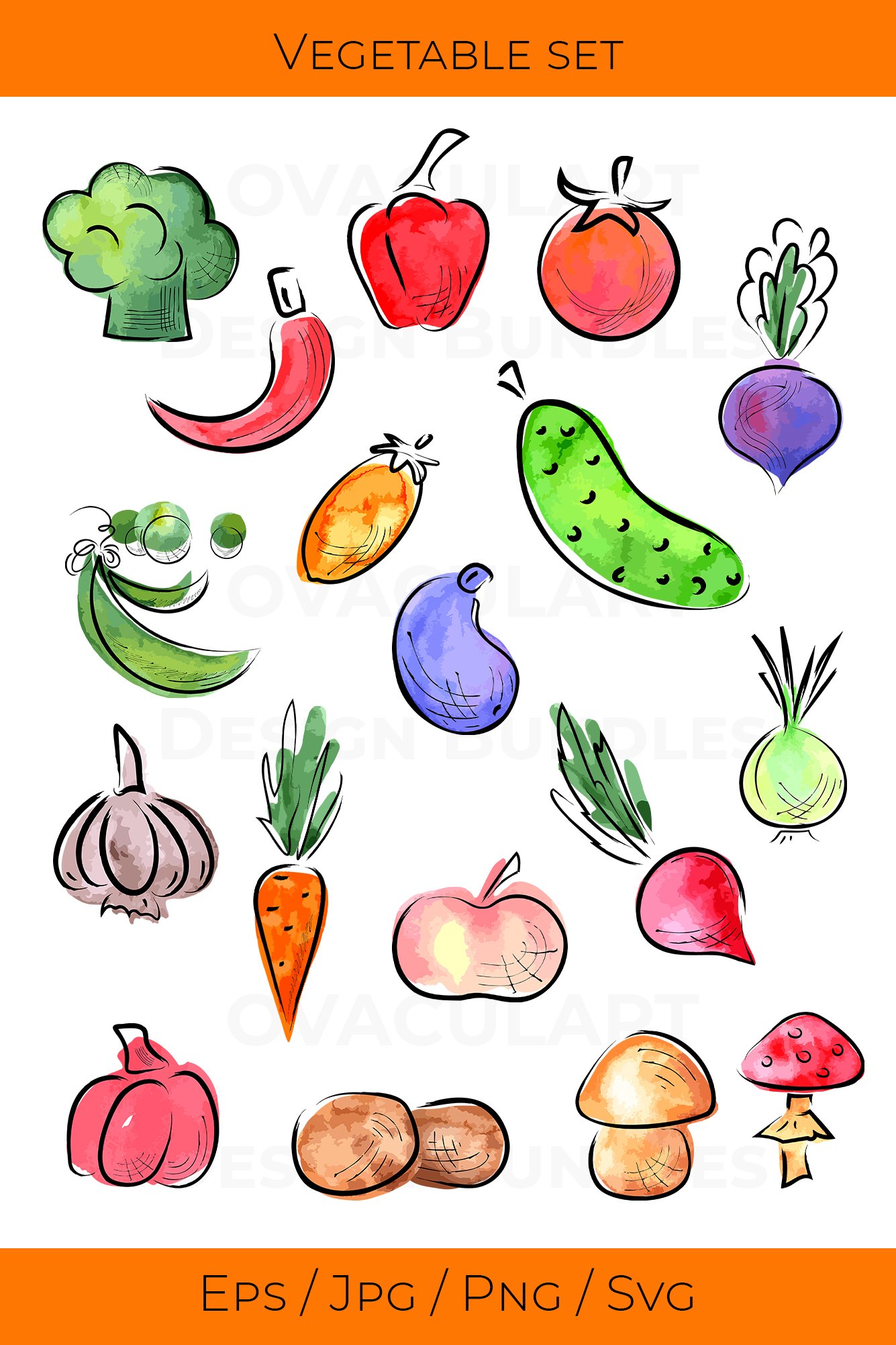 Set vegetable elements svg