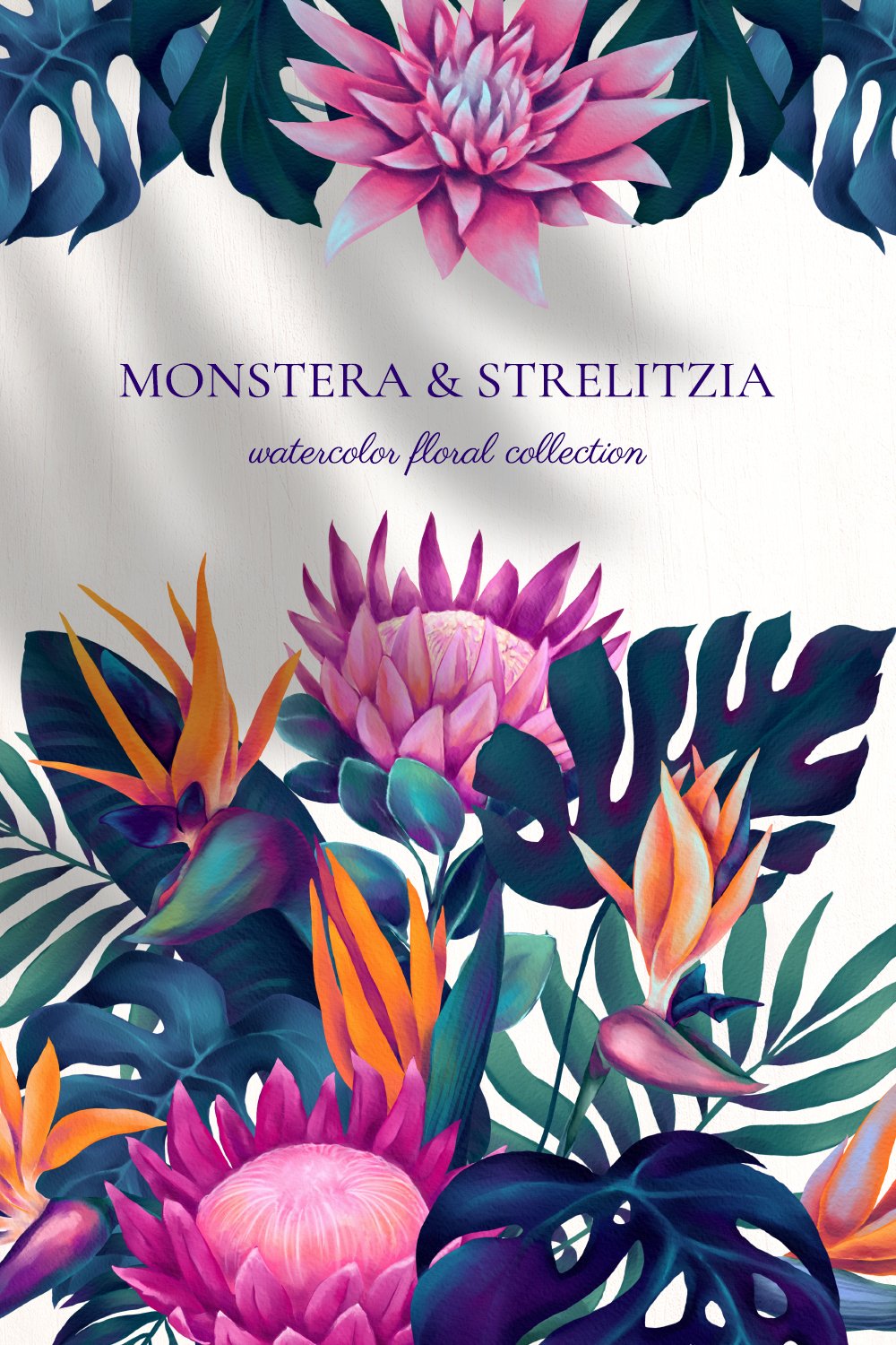Monstera & Strelitzia watercolor
