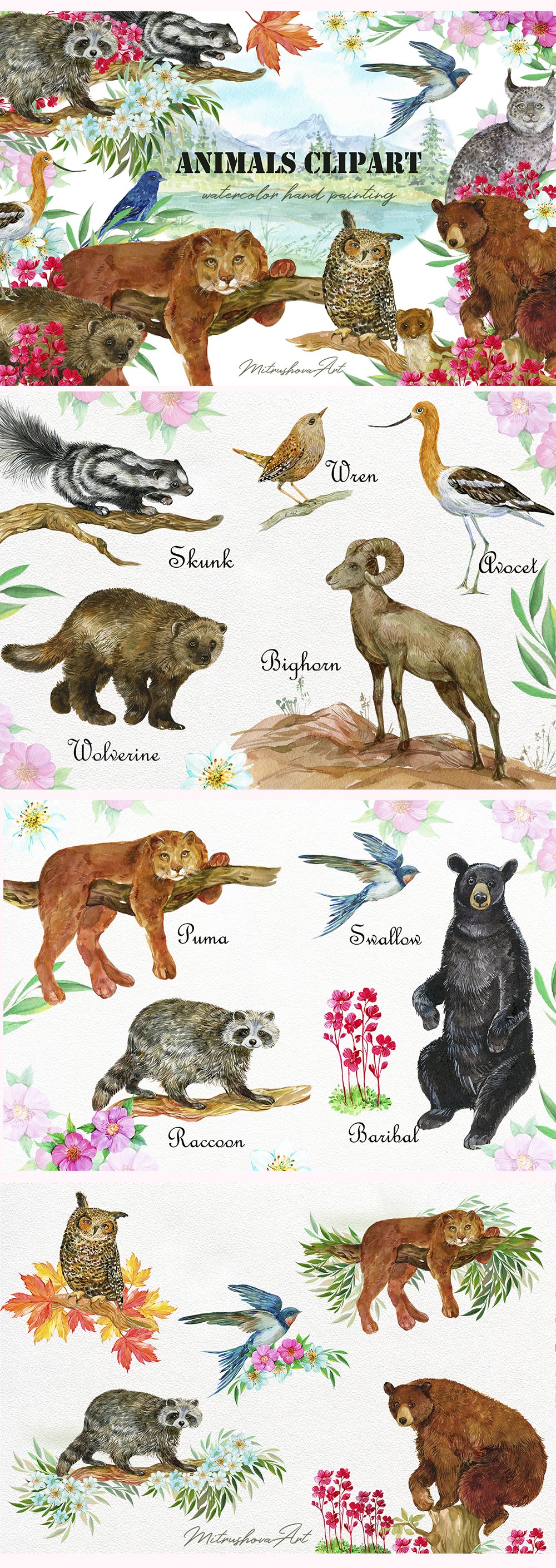 Canada.Animals clipart watercolor