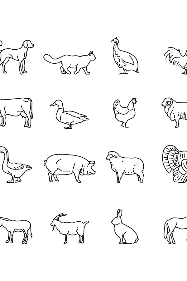Farm animals vector thin line icons set. Outline cow, pig, c