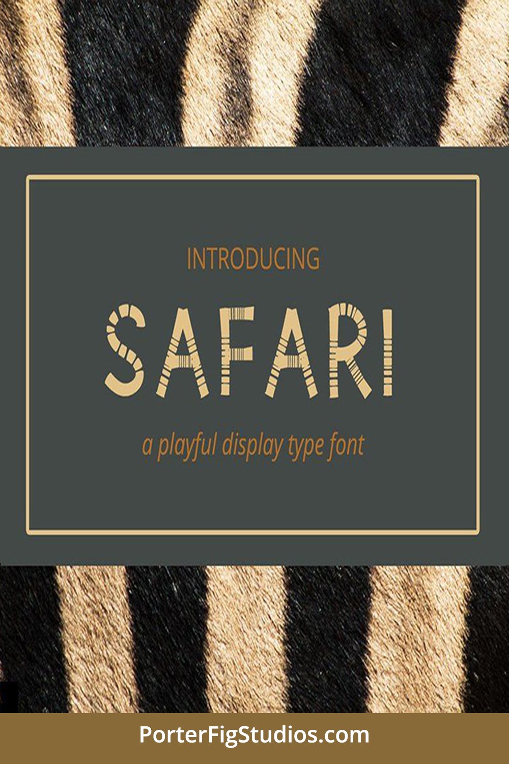 Safari Playful Display Font Typeface (81206)