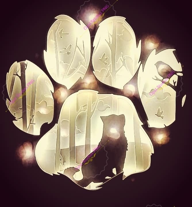 Dog Puppy paw print memorial 3d layered shadow box light box