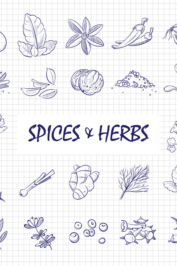Hand drawn spices and herbs big set on notebook page