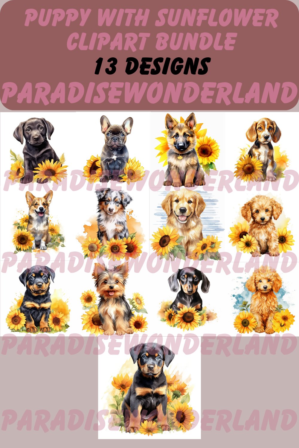 Puppy with sunflower PNG watercolour clipart bundle 13 PNG