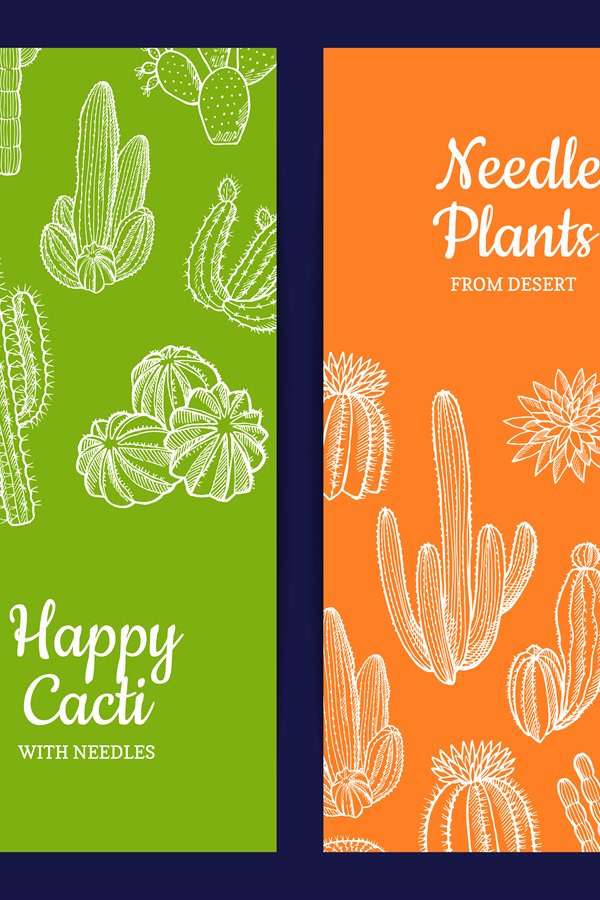 Vector hand drawn cacti plants web banner templates illustra