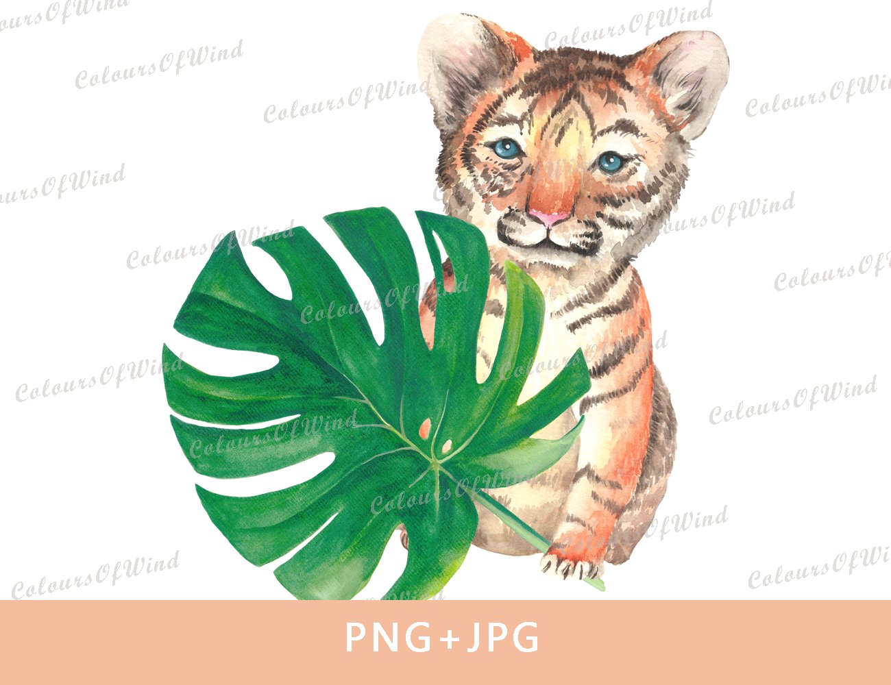 Watercolor Baby Tiger Sublimation PNG, Jungle Animals